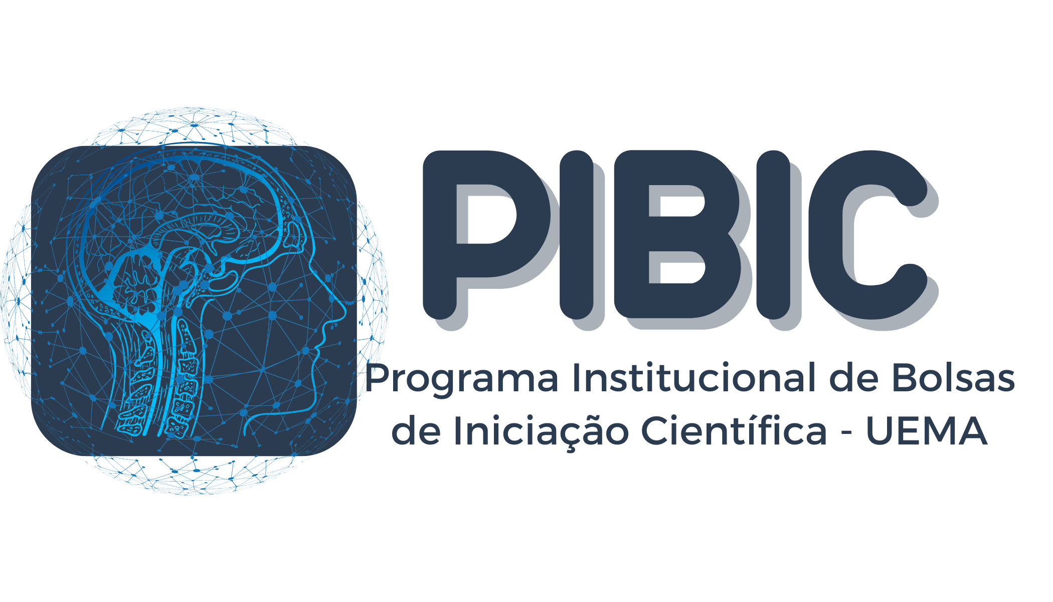 PPG | RESULTADO PARCIAL DO EDITAL Nº 52/2025-PPG/UEMA – PROGRAMA ...